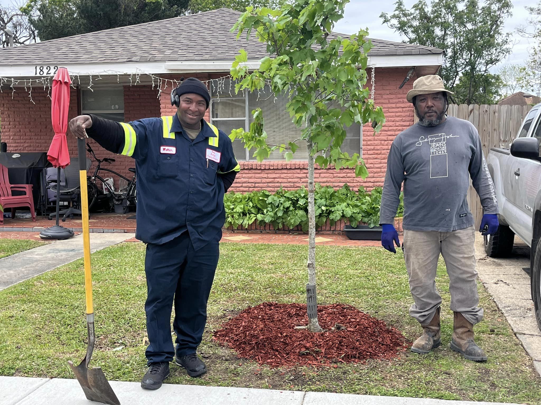 We Need More Trees in Black Neighborhoods - Word In Black
